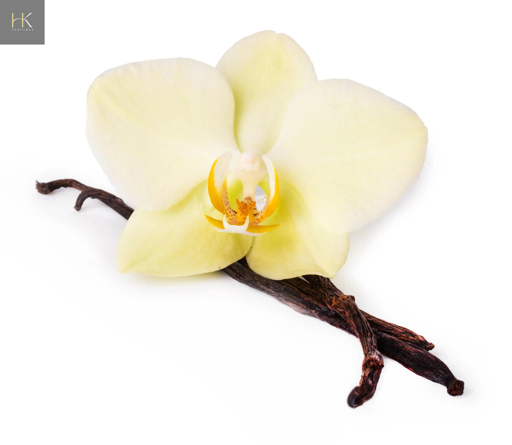 Crème de Vanilla Sample Set | hkPERFUMES